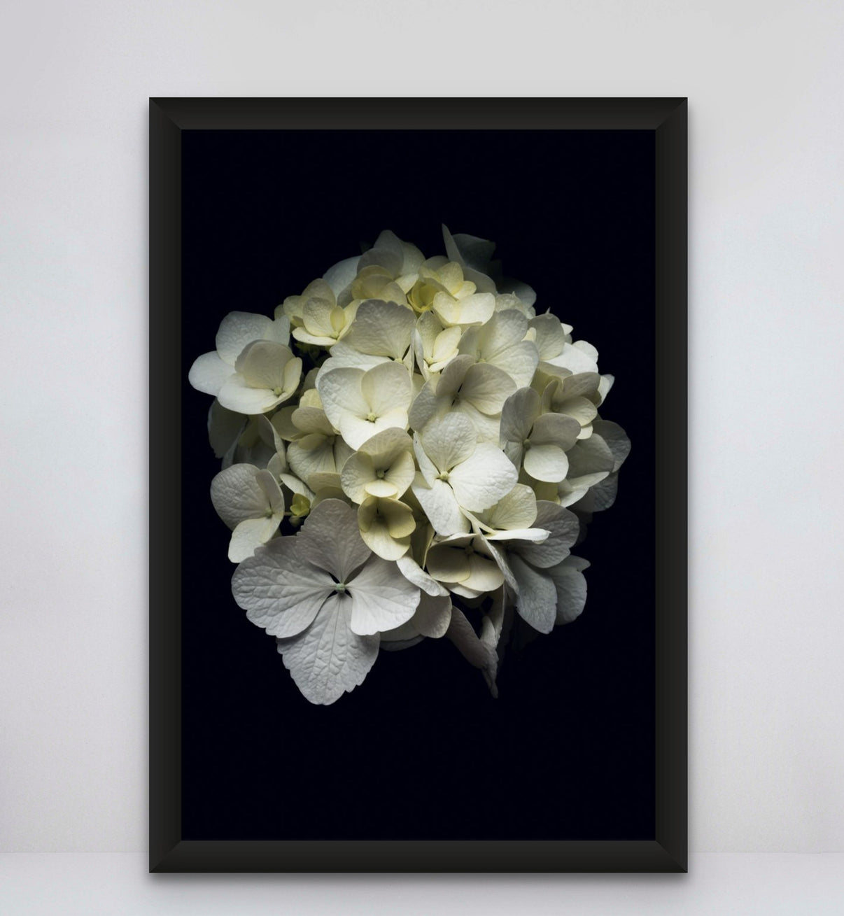 Hydrangea Portrait Framed | Kirsten Clark Art
